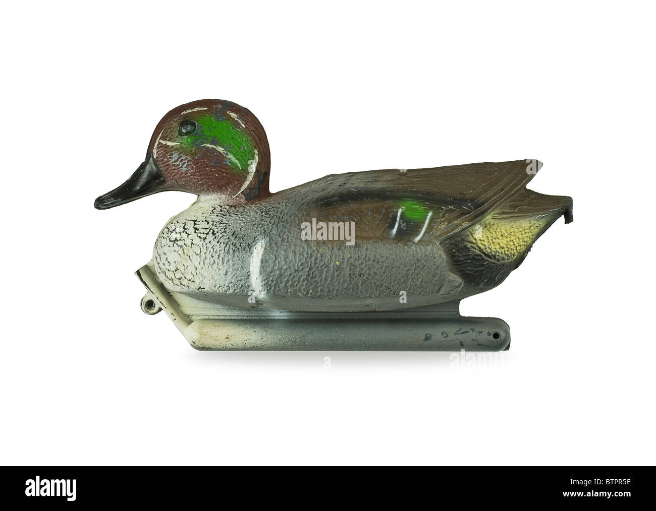 Decoy bird hi-res stock photography and images - Alamy