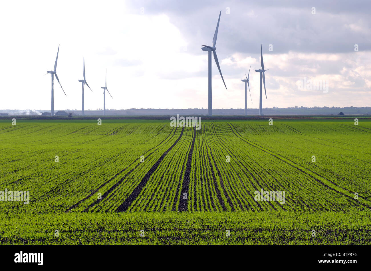 Chatteris fenlands hi-res stock photography and images - Alamy