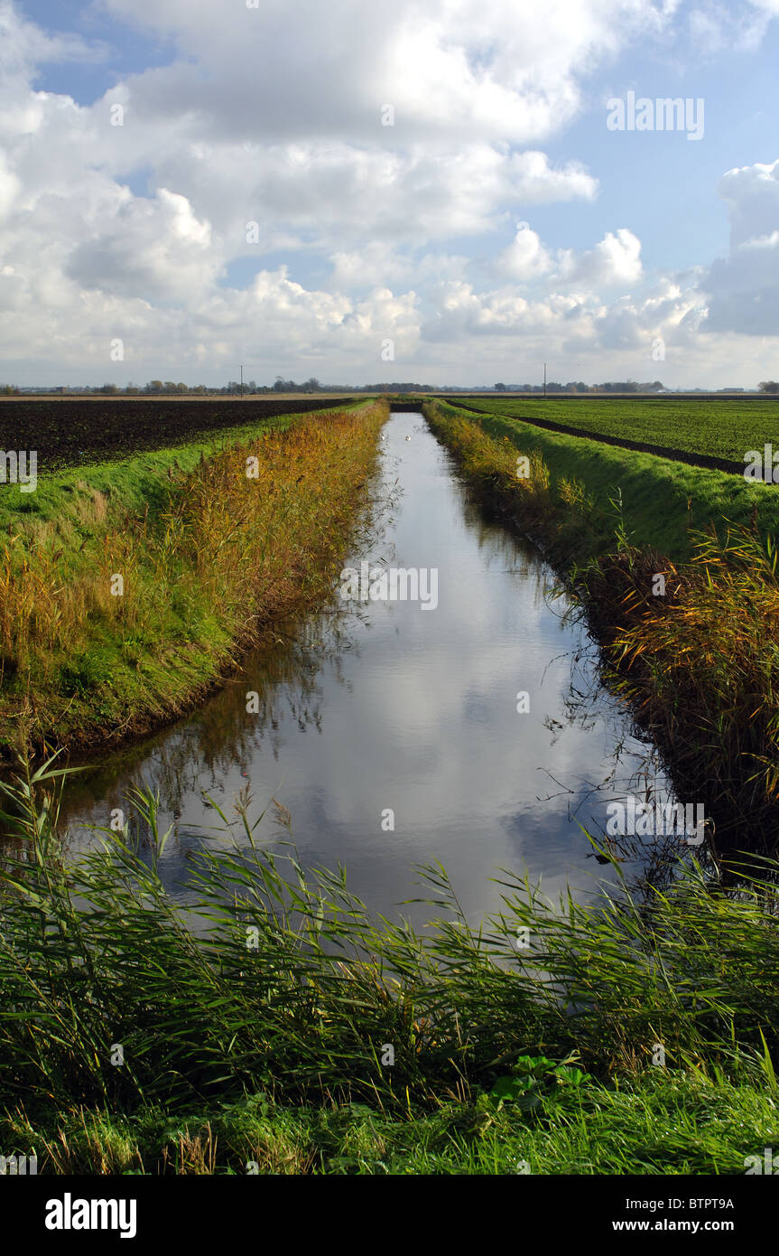Drainage of the fens hi-res stock photography and images - Alamy