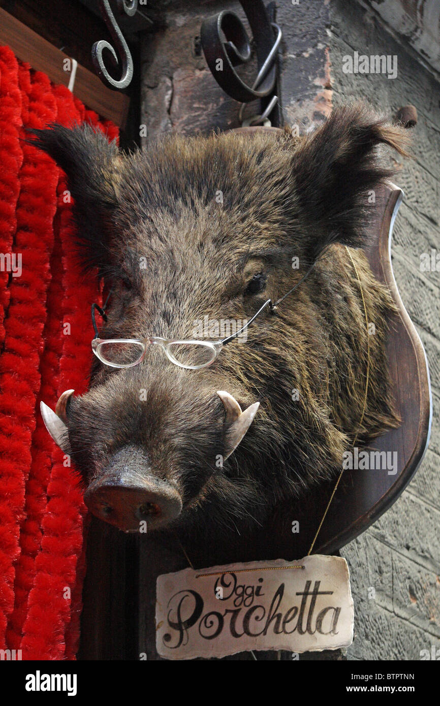 Wild boars head hi-res stock photography and images - Alamy