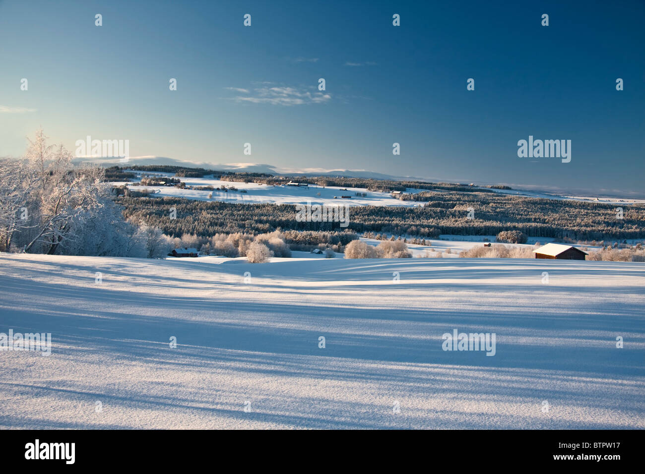 Beautiful winter landscape of white snow and blue sky Stock Photo - Alamy