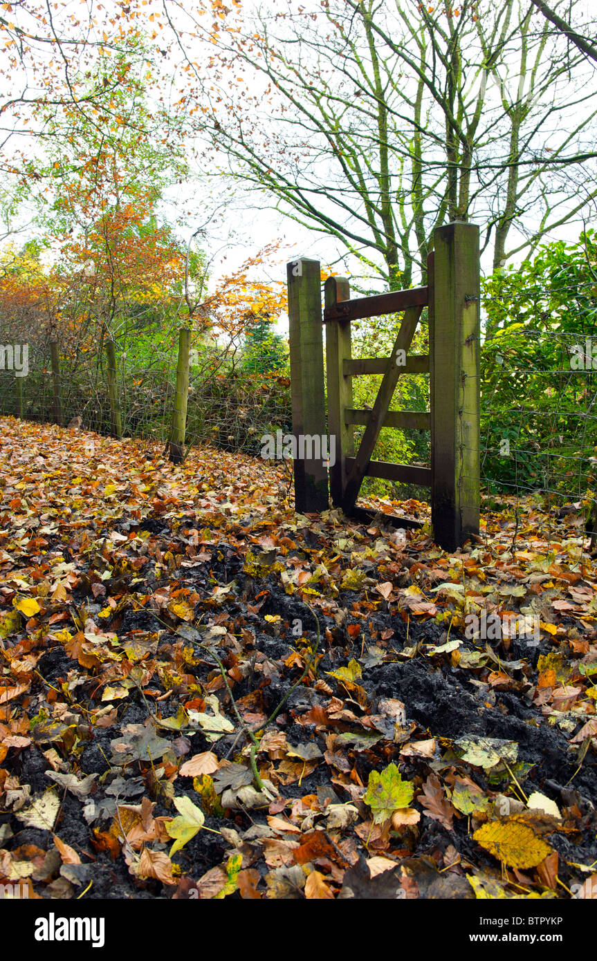 Pathway and gate in autumn Stock Photo - Alamy