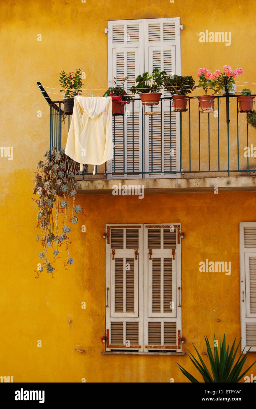 Pot plants at closed window and balcony hi-res stock photography and ...