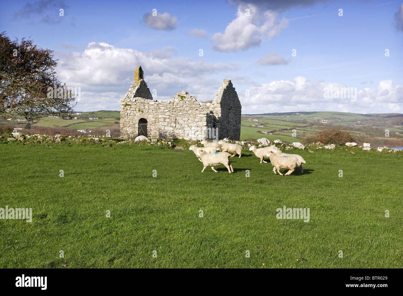 Lligwy chapel, Isle of Anglesey - an early 12th century chapel of ease ...