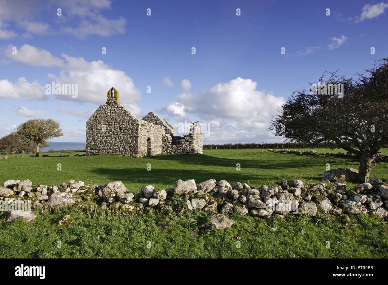 Lligwy chapel, Isle of Anglesey - an early 12th century chapel of ease ...