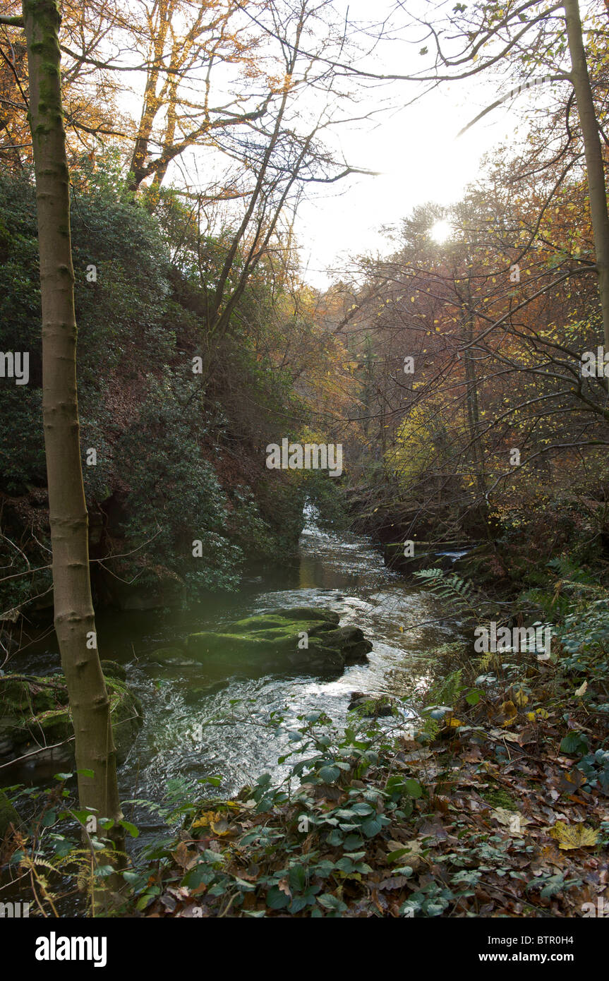 River Darwen at Hoghton Bottoms,Lancashire Stock Photo - Alamy