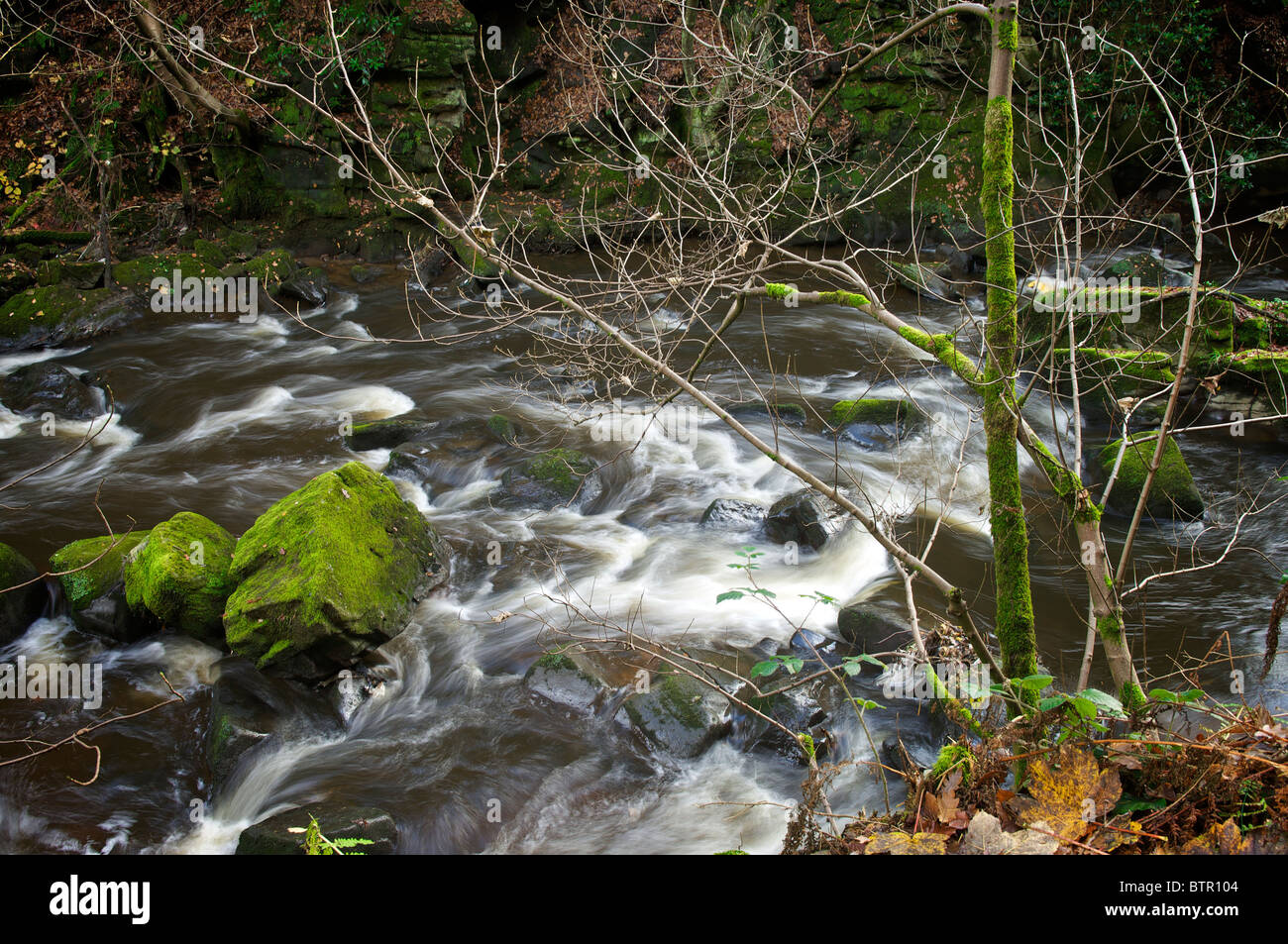 River Darwen at Hoghton Bottoms,Lancashire Stock Photo - Alamy