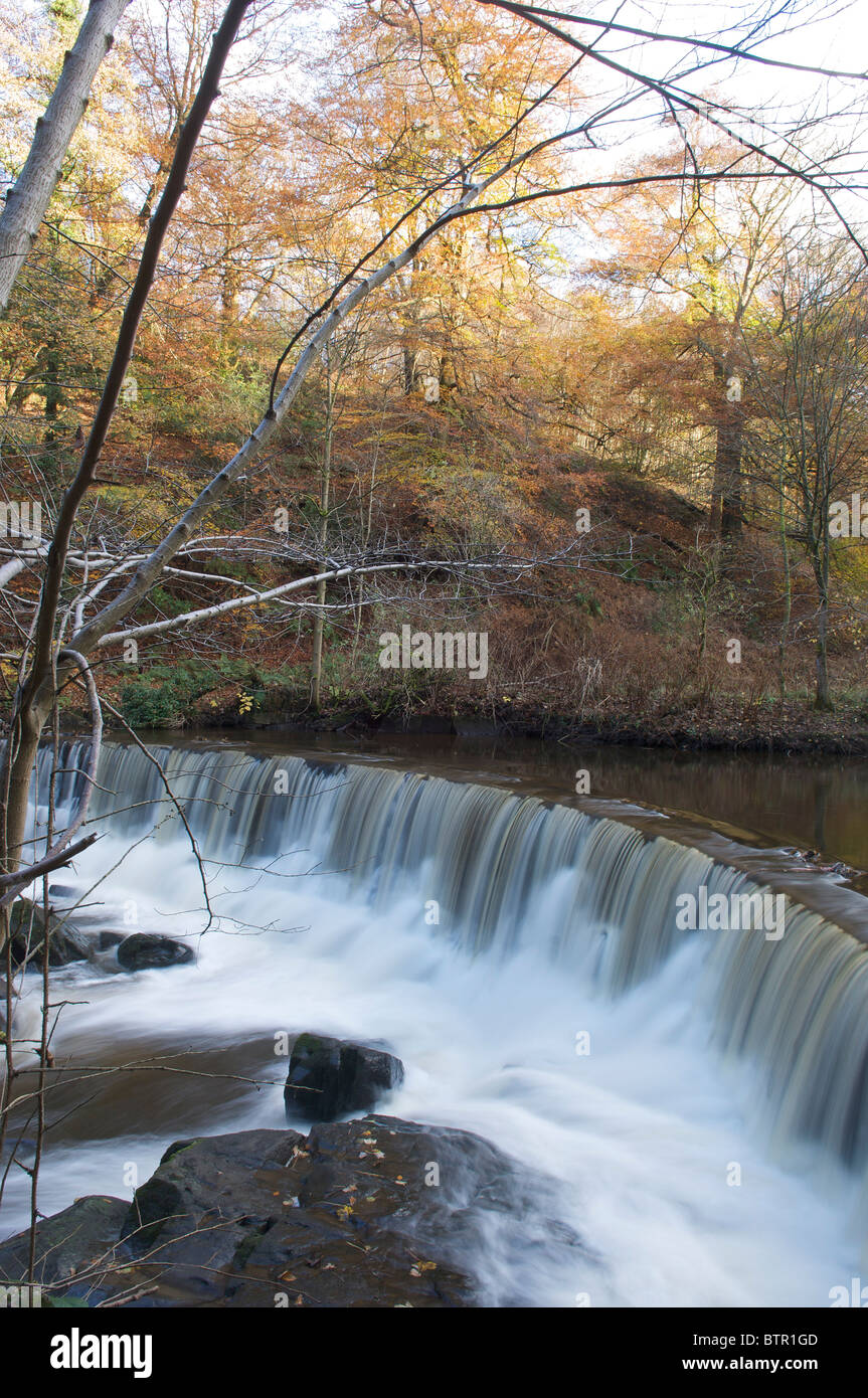 River darwen weir hi-res stock photography and images - Alamy