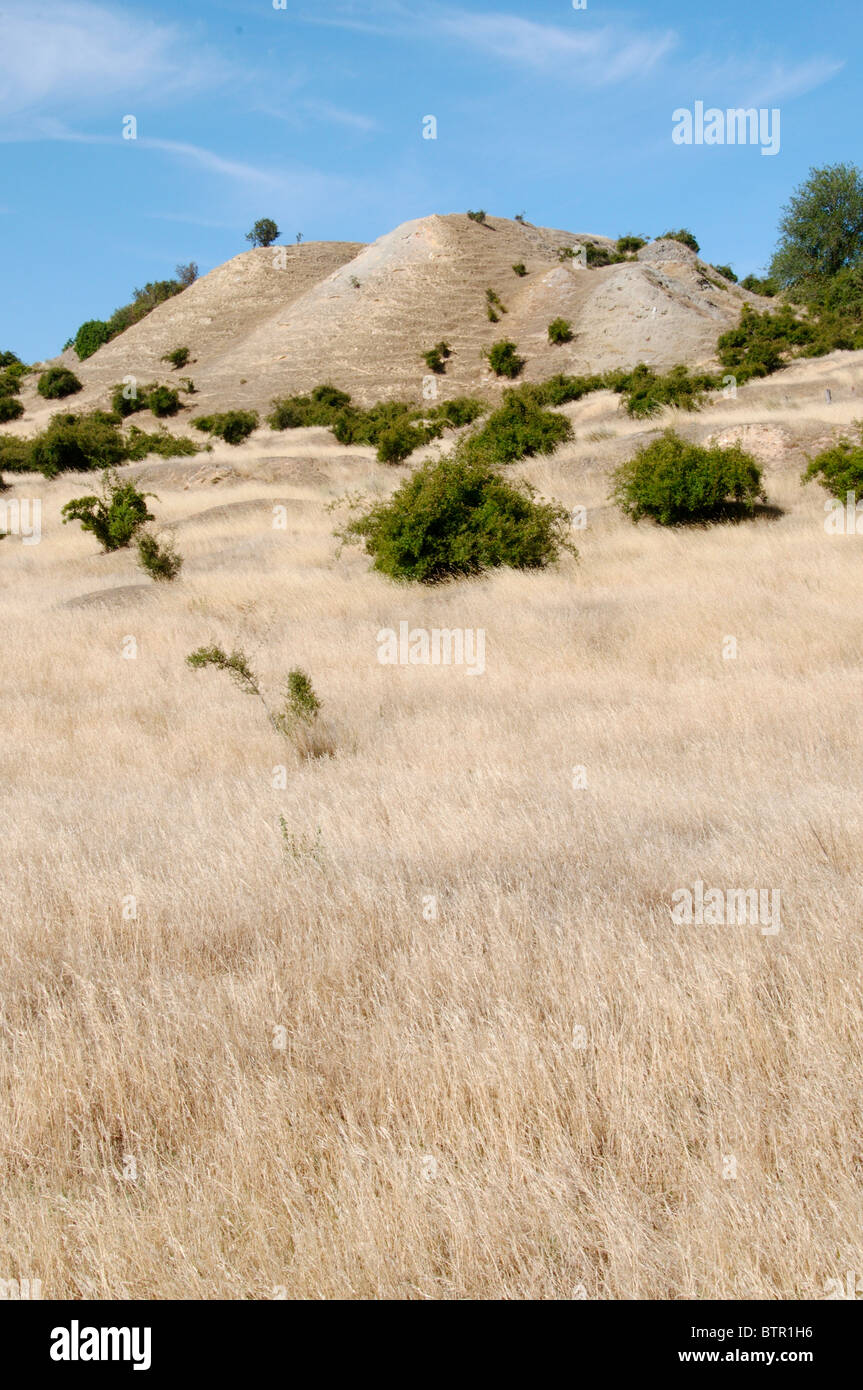 Clunes Australia Stock Photos & Clunes Australia Stock Images - Alamy