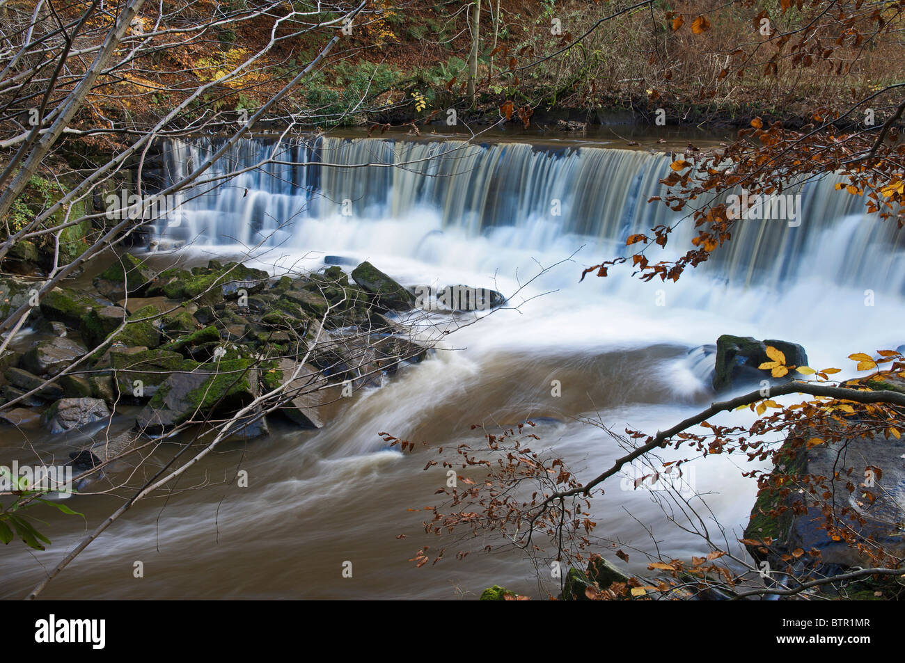 River Darwen at Hoghton Bottoms,Lancashire Stock Photo - Alamy