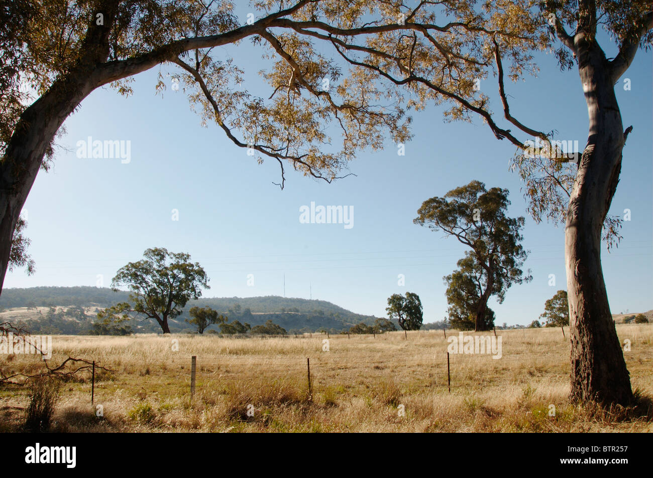 Australia, Central Victoria, Sutton Grange, Landscape with Mt Alexander ...