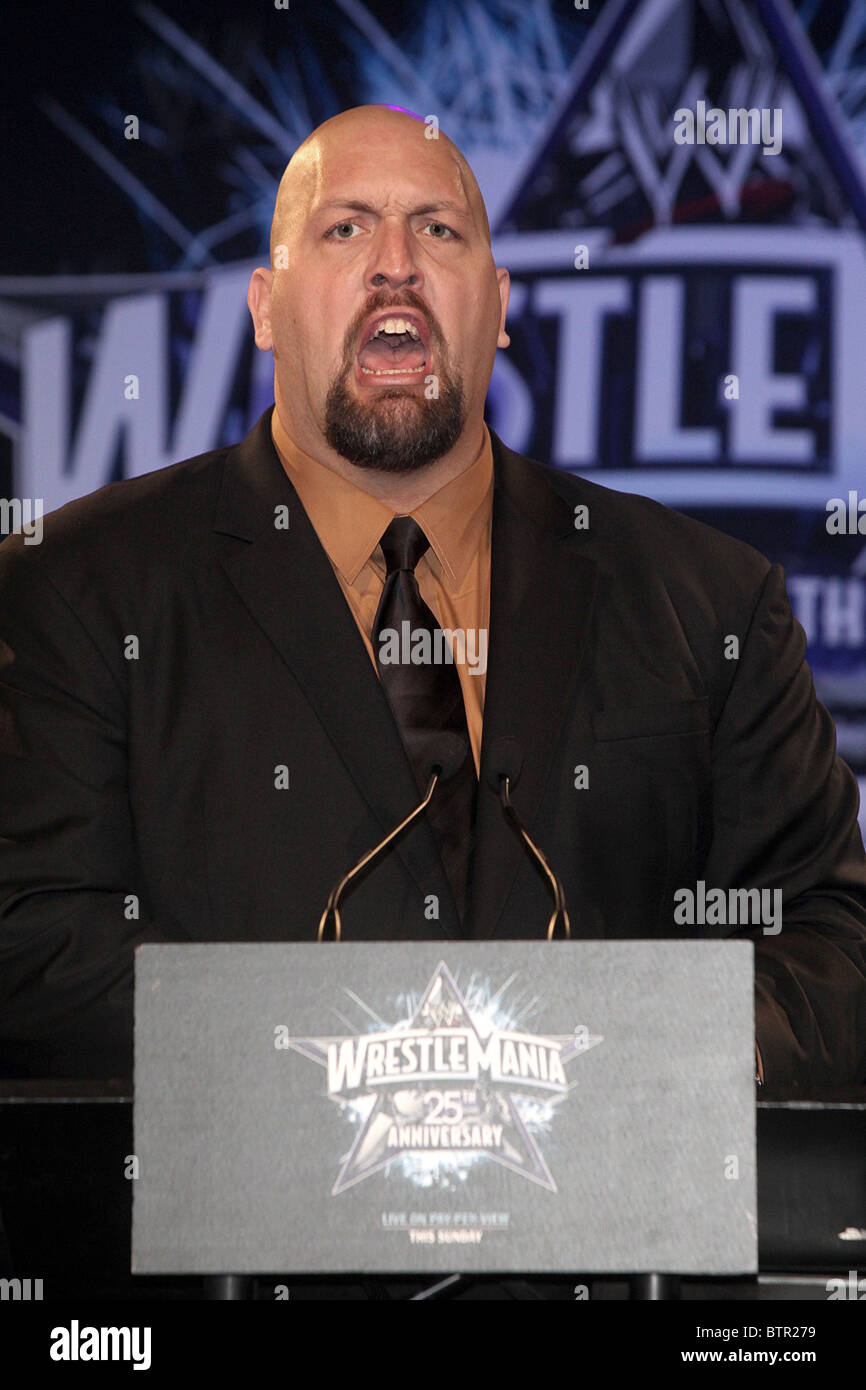 Wwe Wrestlemania 25 Logo