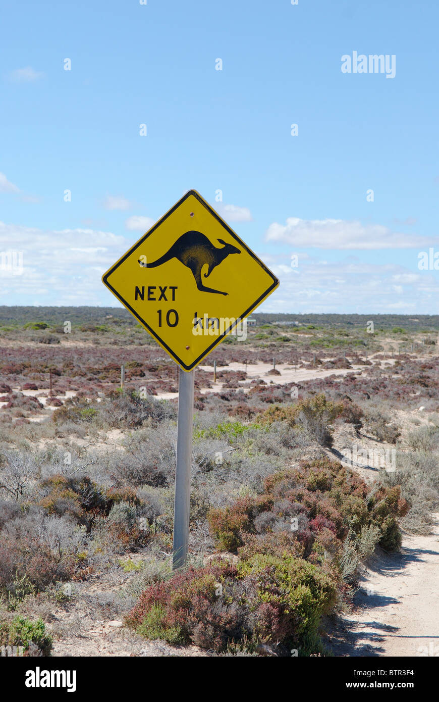 Australia, Kangaroo crossing sign Stock Photo - Alamy