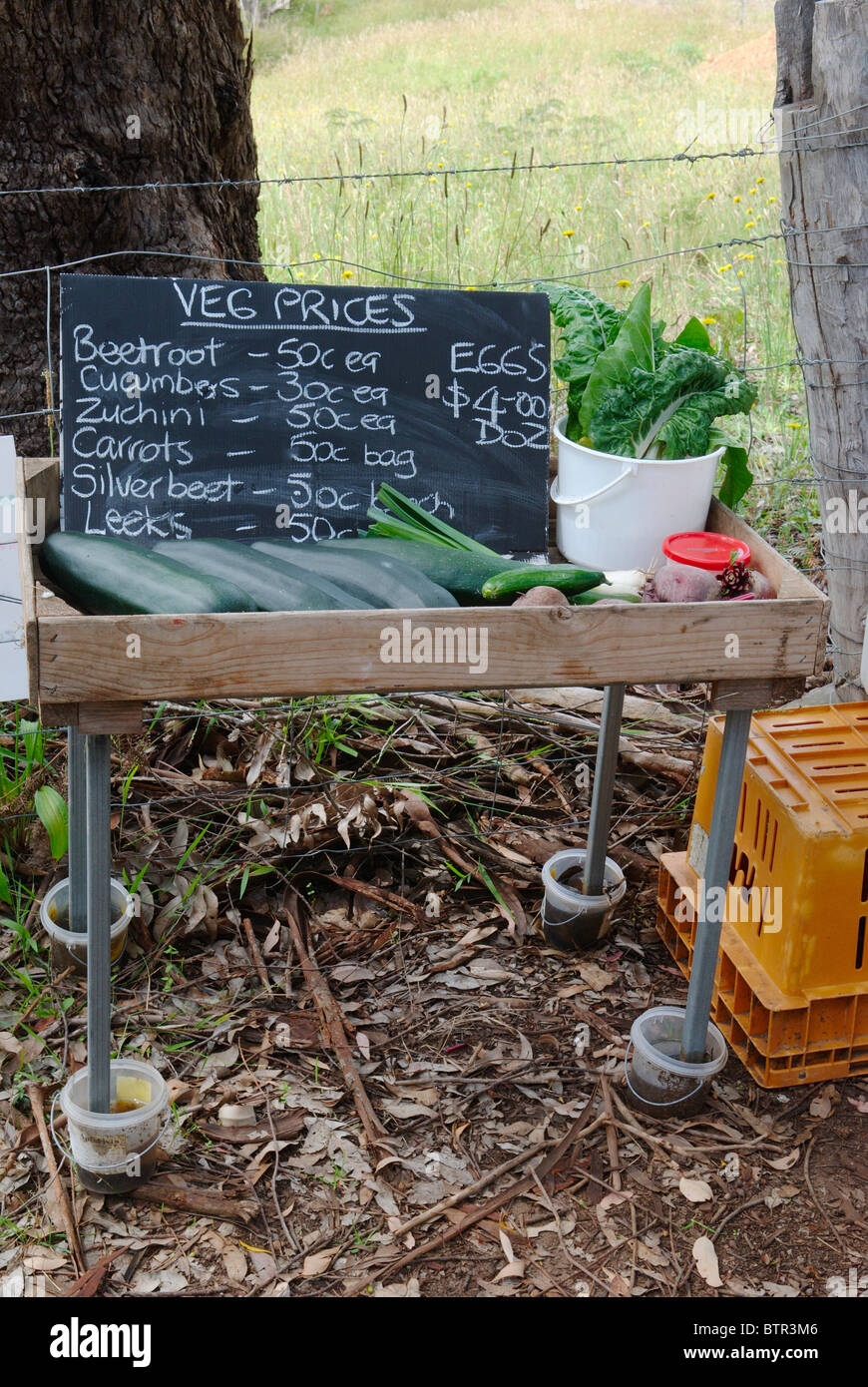 Stall board hi-res stock photography and images - Alamy