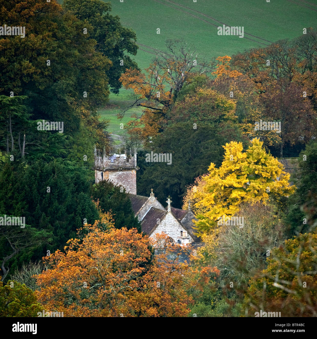 Minterne magna dorset hi-res stock photography and images - Alamy