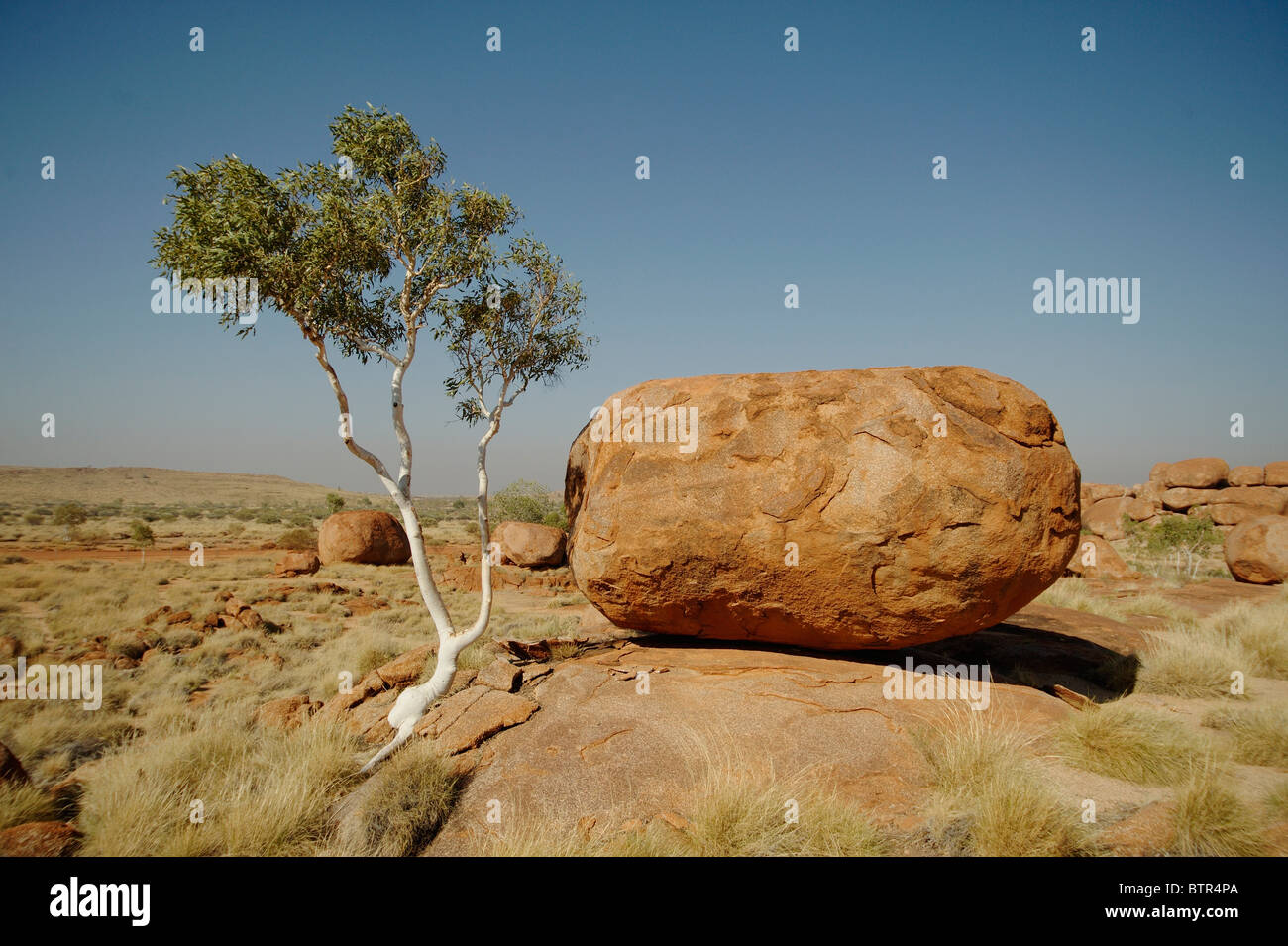Australia, Devils Marbles Conservation Reserve, Tree and boulder Stock ...