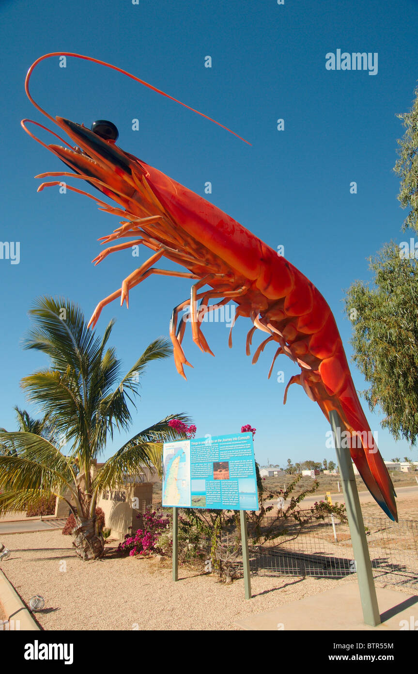 Giant prawn hi-res stock photography and images - Alamy