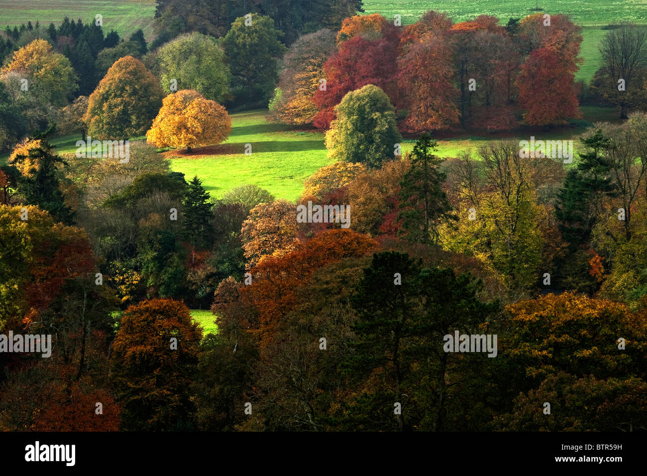 Minterne estate hi-res stock photography and images - Alamy