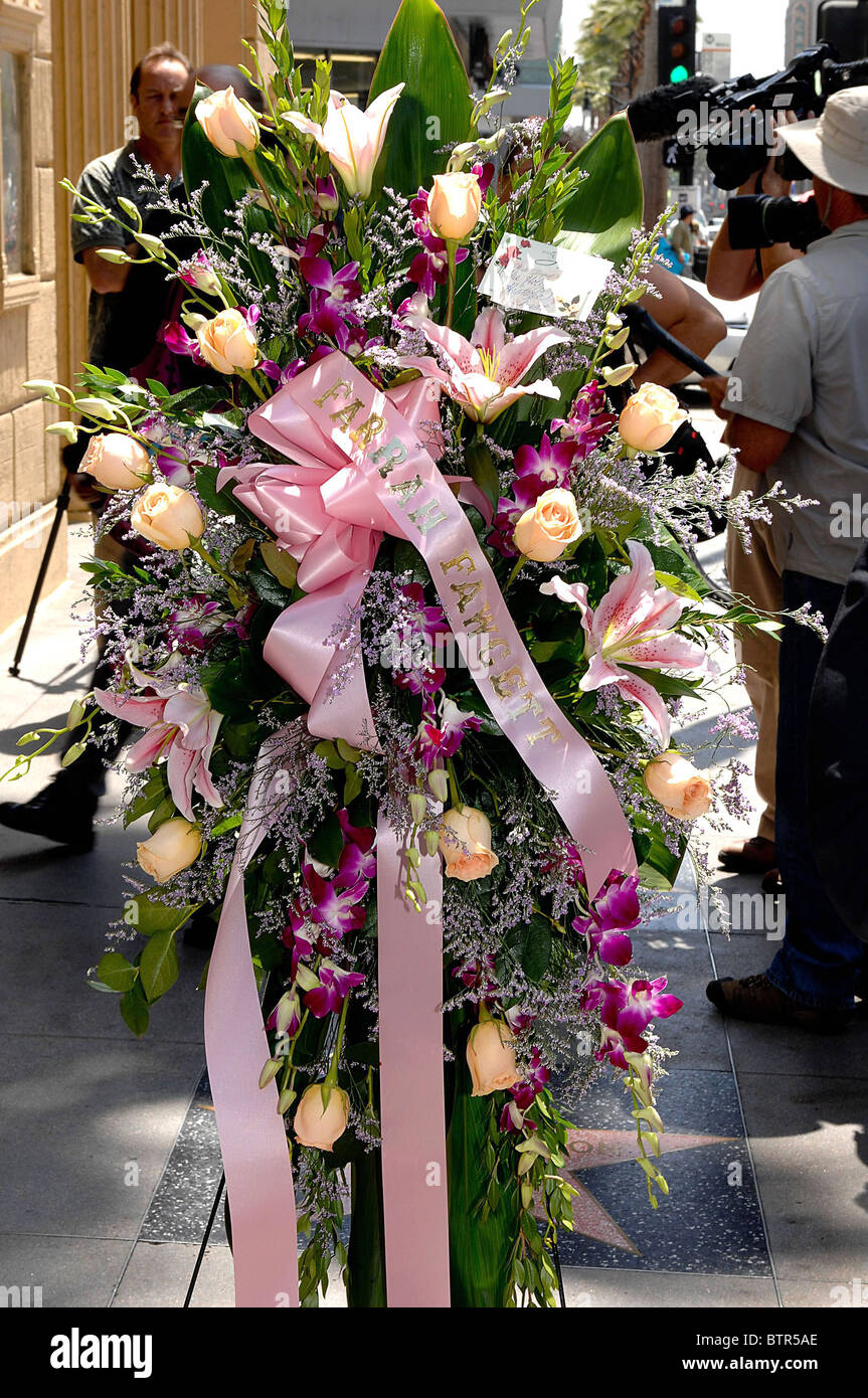 Farrah fawcett memorial hi-res stock photography and images - Alamy