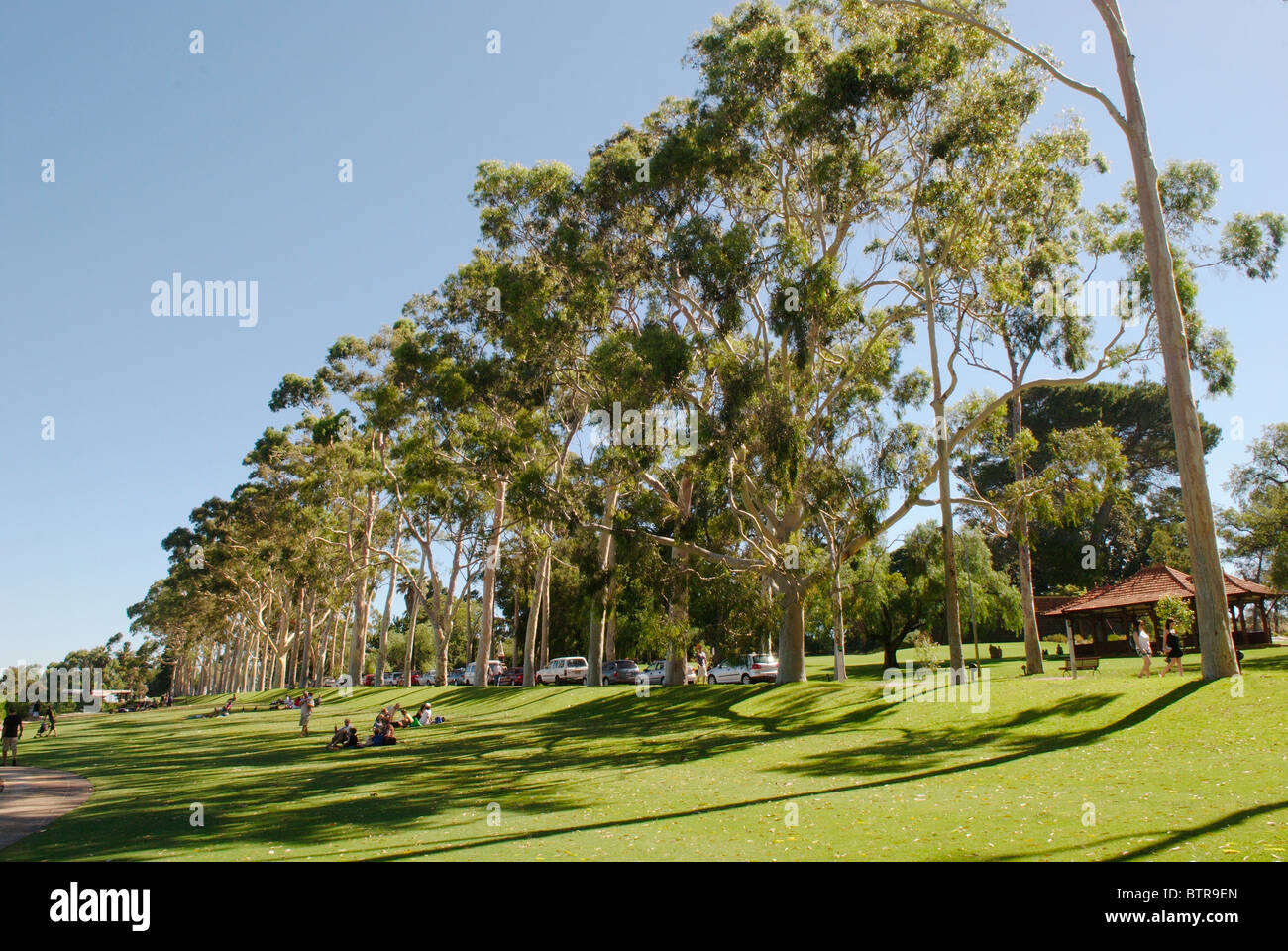 Perth kings park hi-res stock photography and images - Alamy