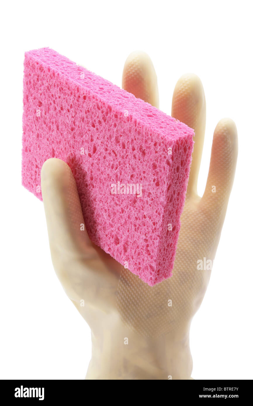 Hand in Rubber Glove Holding Sponge Stock Photo - Alamy