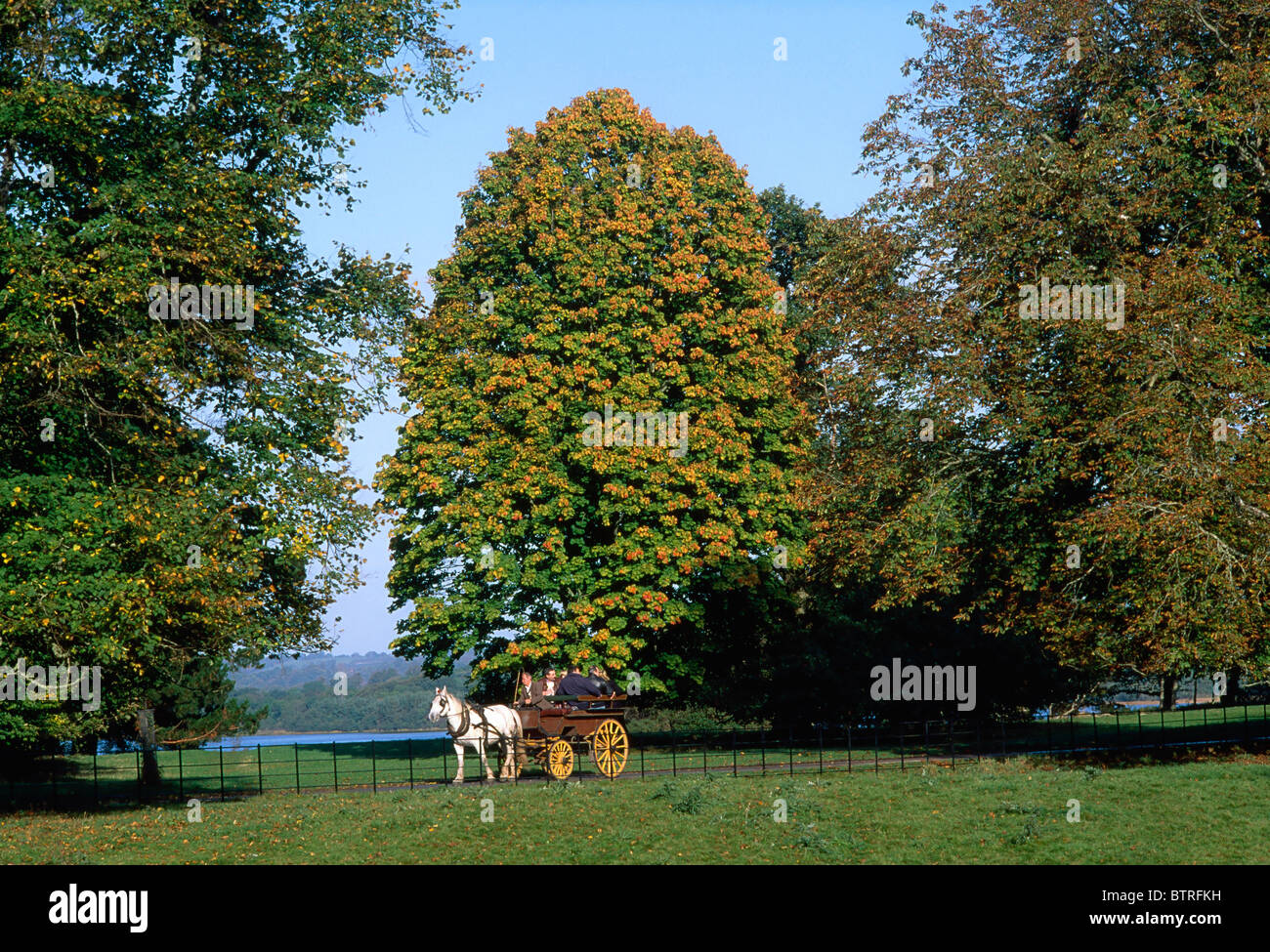 Jaunty cart ireland hi-res stock photography and images - Alamy