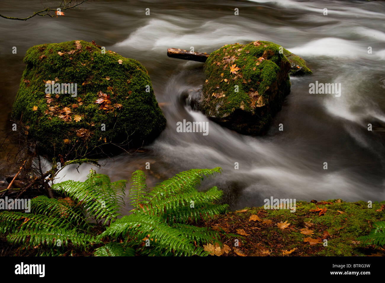 Stream meander america hi-res stock photography and images - Alamy