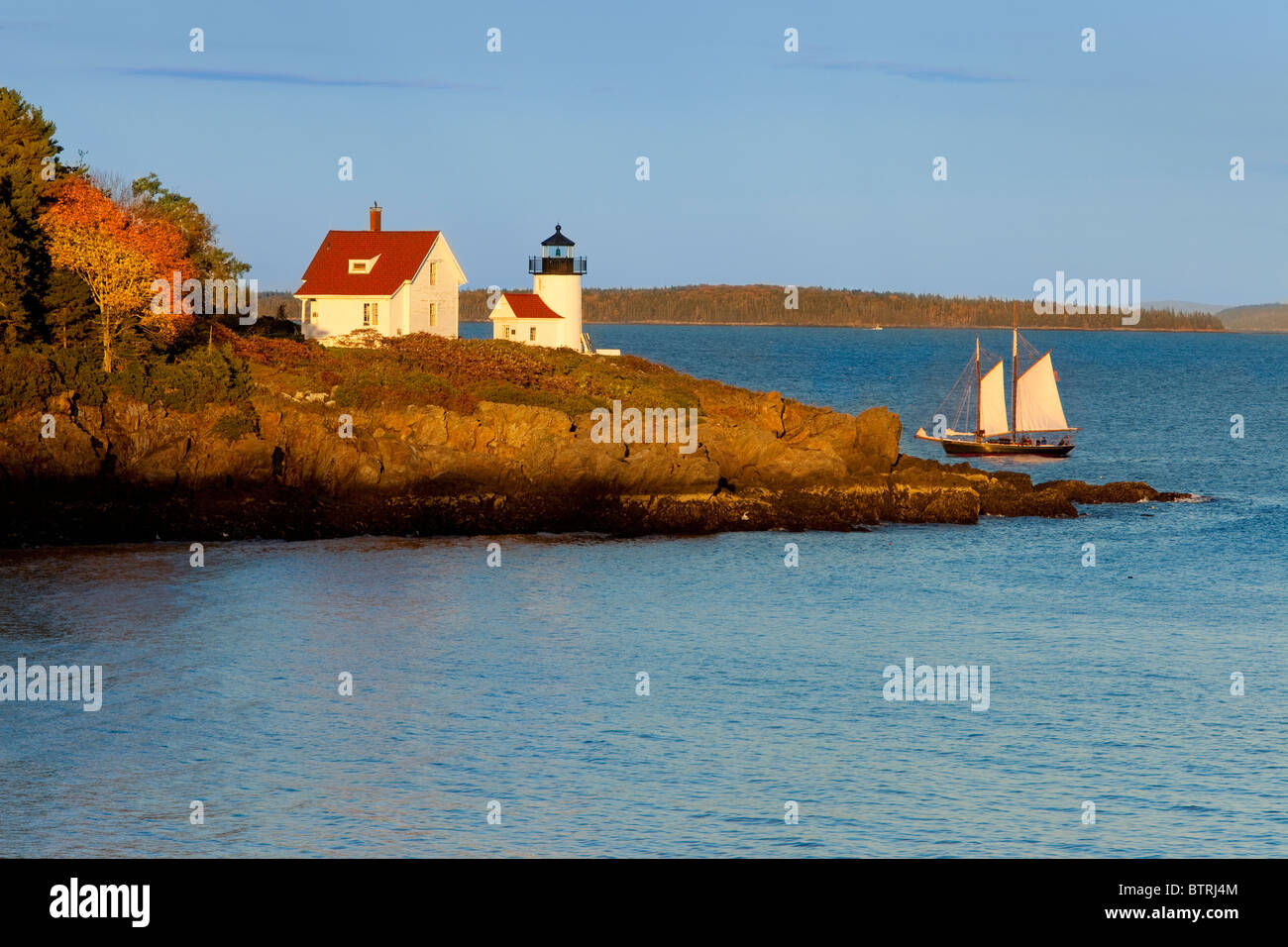Lighthouse light camden maine hi-res stock photography and images - Alamy