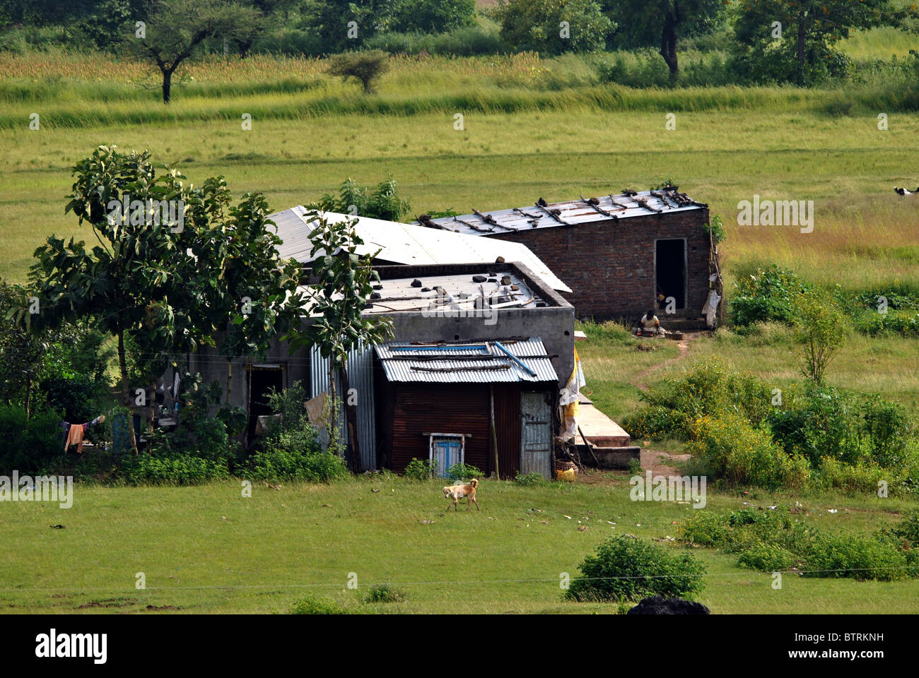 The clam house hi-res stock photography and images - Alamy