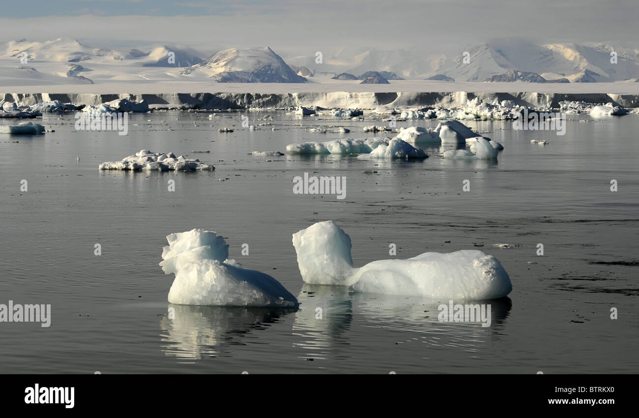 Shackleton ice shelf hi-res stock photography and images - Alamy