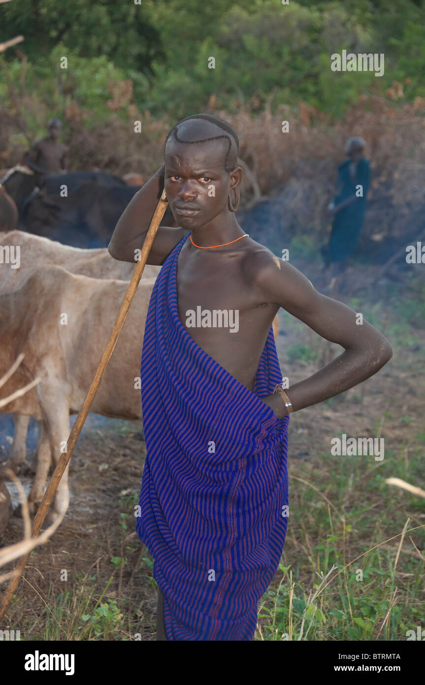 Surma herder with cattle near Tulgit, Omo River Valley, Ethiopia Stock ...