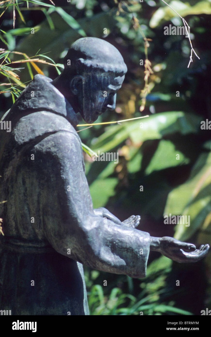 Priest bird hi-res stock photography and images - Alamy