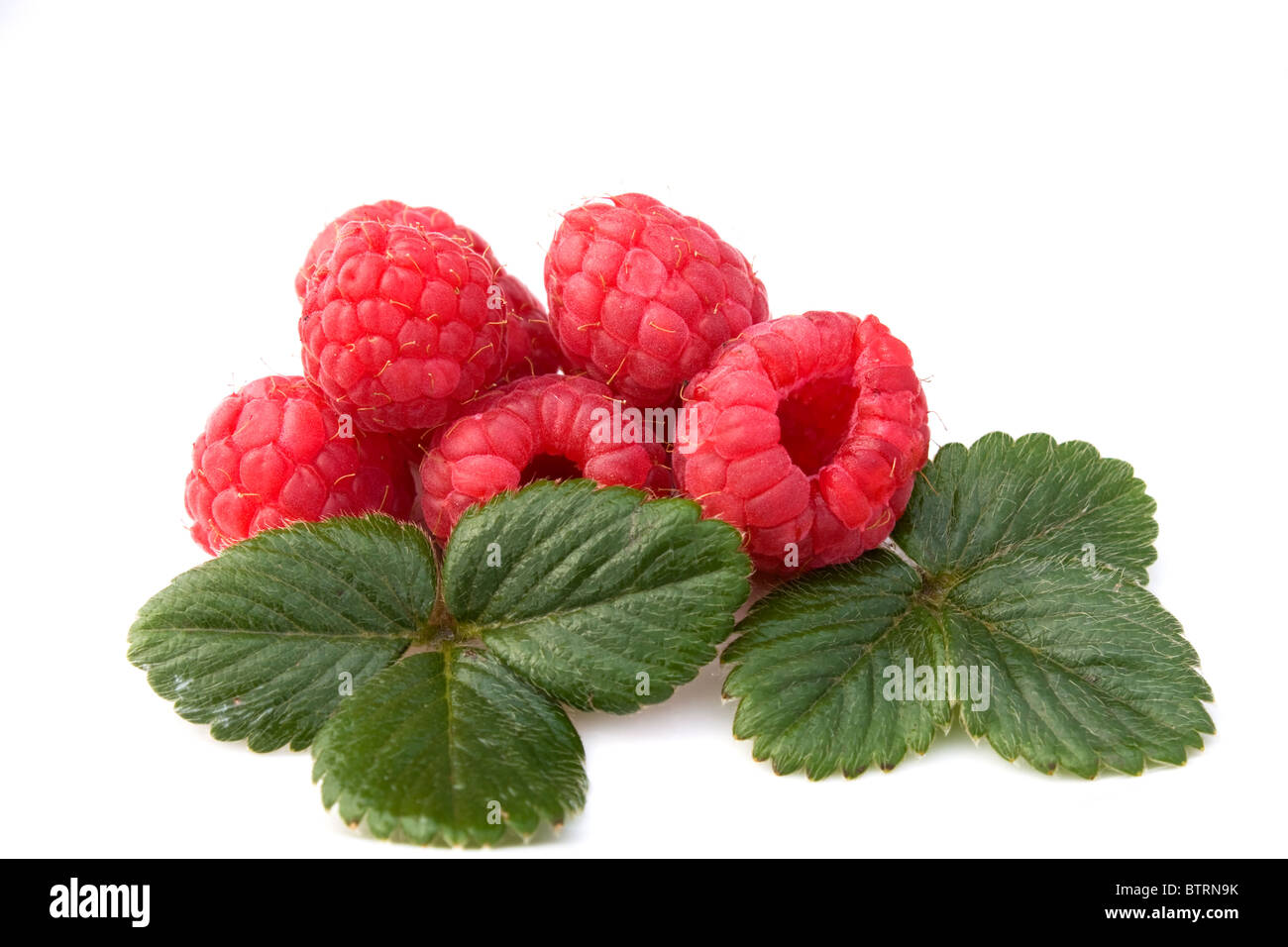Soft detail Cut Out Stock Images & Pictures - Alamy