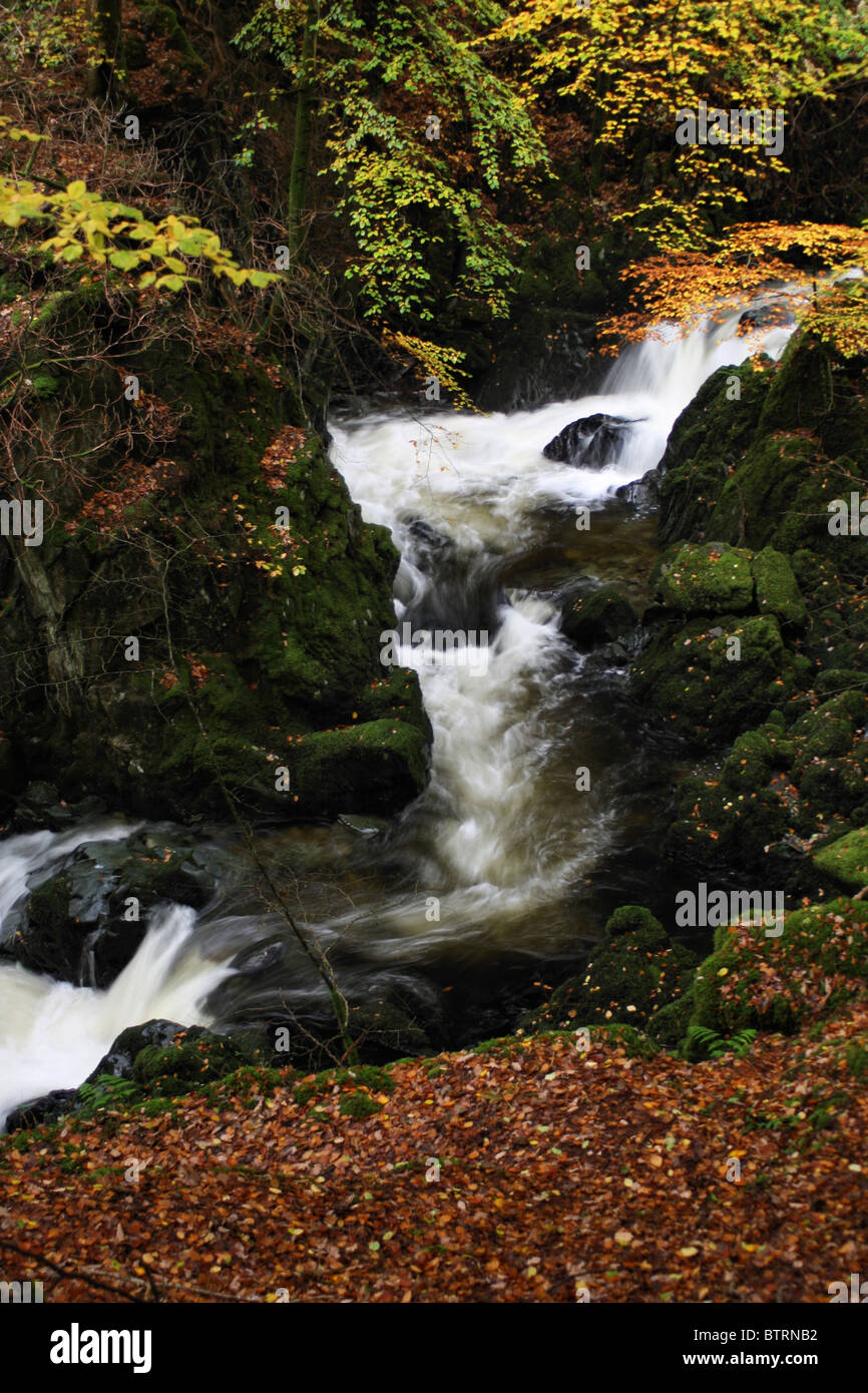 Afon clywedog hi-res stock photography and images - Alamy