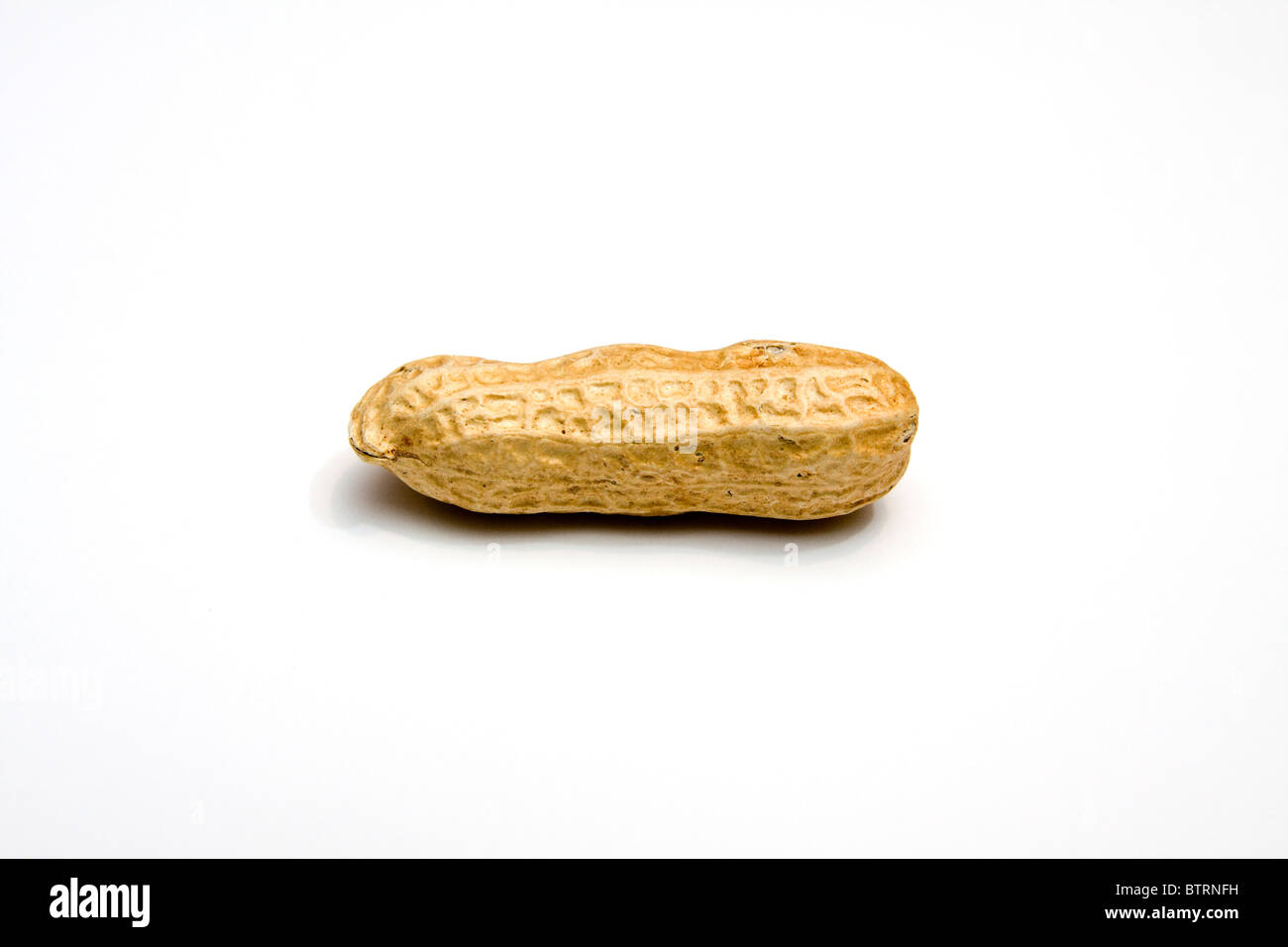 Peanut in its shell on a white background Stock Photo - Alamy
