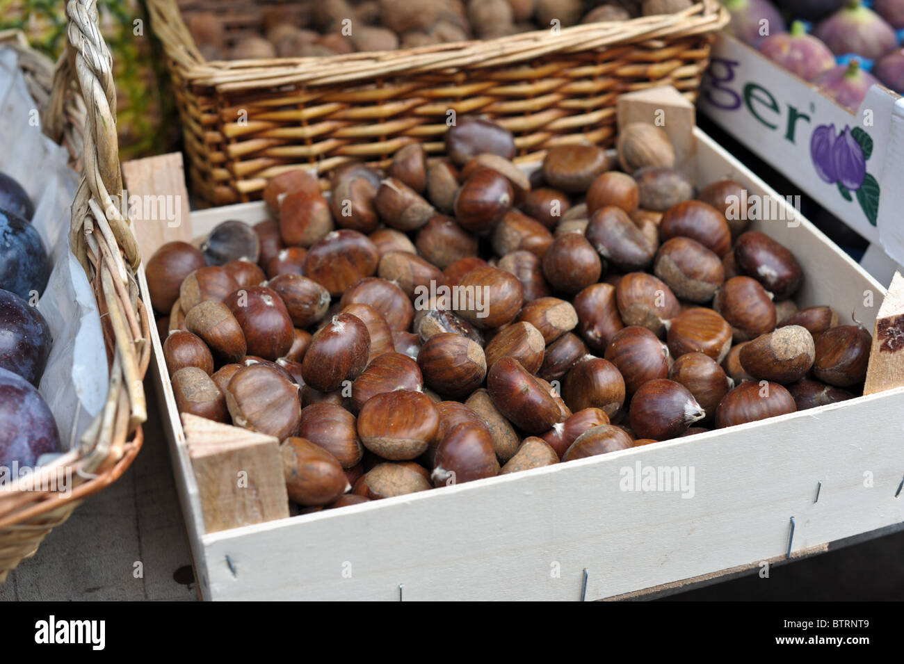 A box piled up with chestnuts ready for roasting on an open fire, a box ...