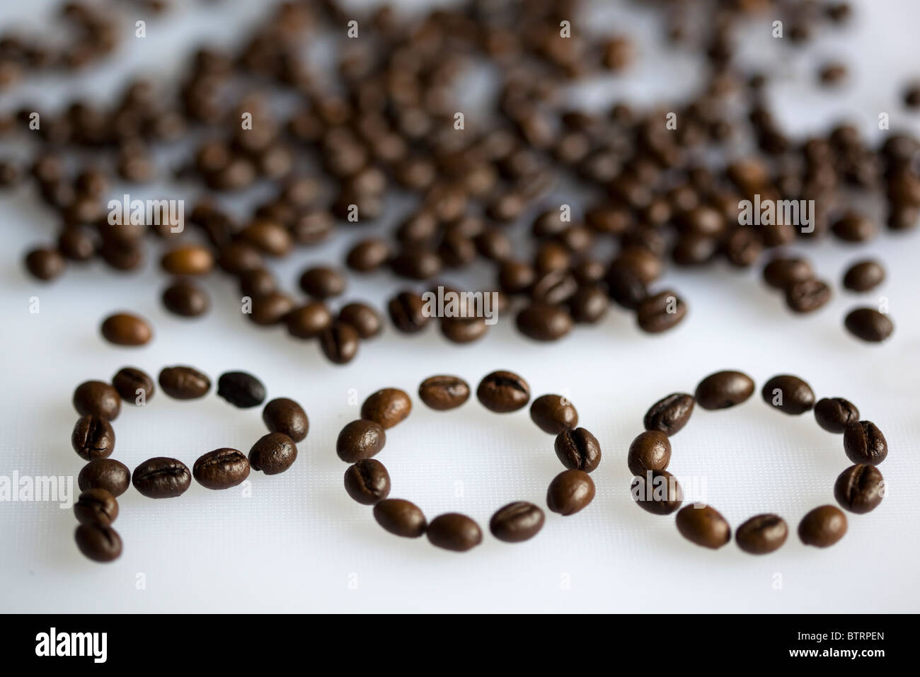 Kopi luwak Civit Cat Coffee Beans - An example of the strange or weird ...