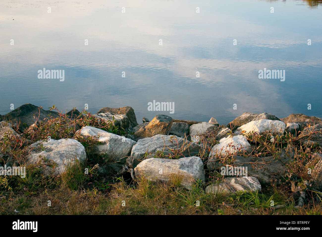Stones in lake hi-res stock photography and images - Alamy