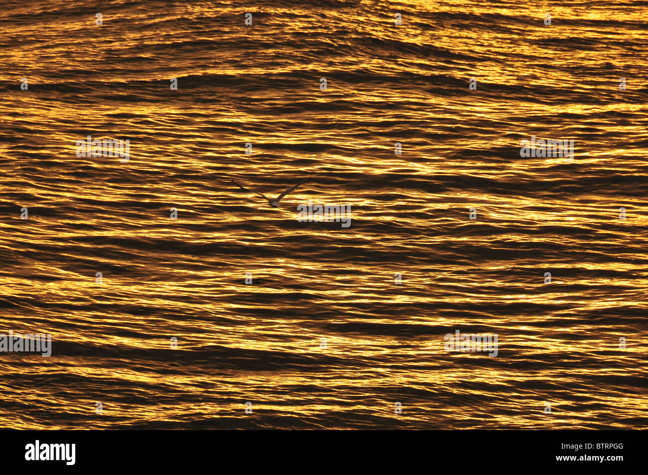 Golden sea sunset hi-res stock photography and images - Alamy