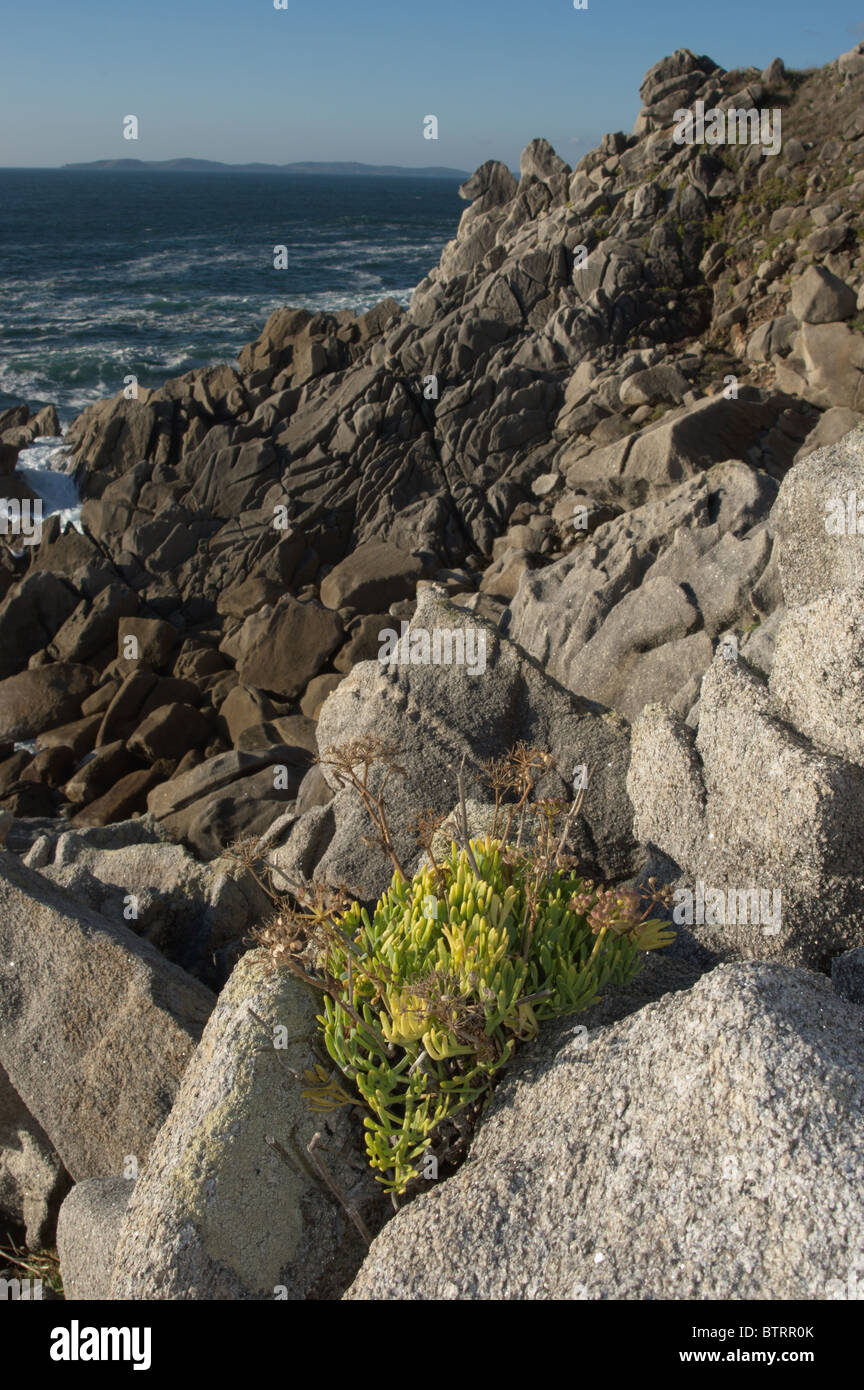 A Vela Coast. Cangas, Pontevedra, Galicia, Spain Stock Photo - Alamy