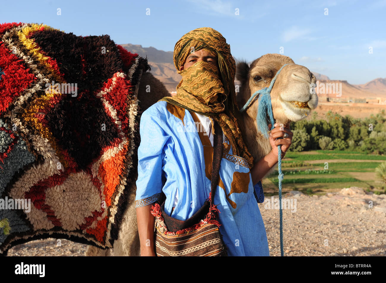 Tie man camel hi-res stock photography and images - Alamy
