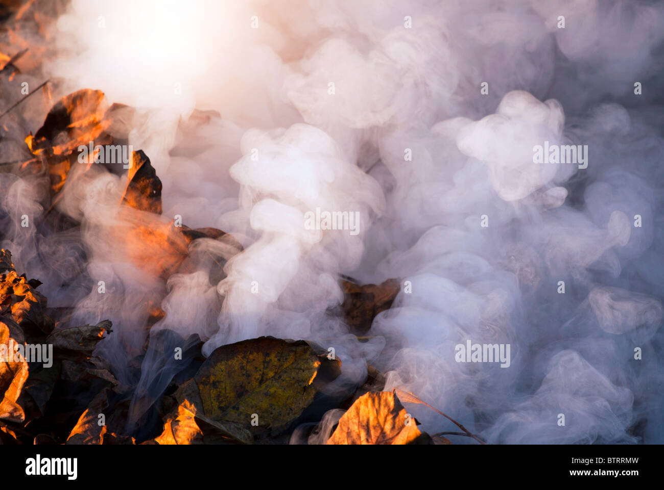 Wet f hi-res stock photography and images - Alamy