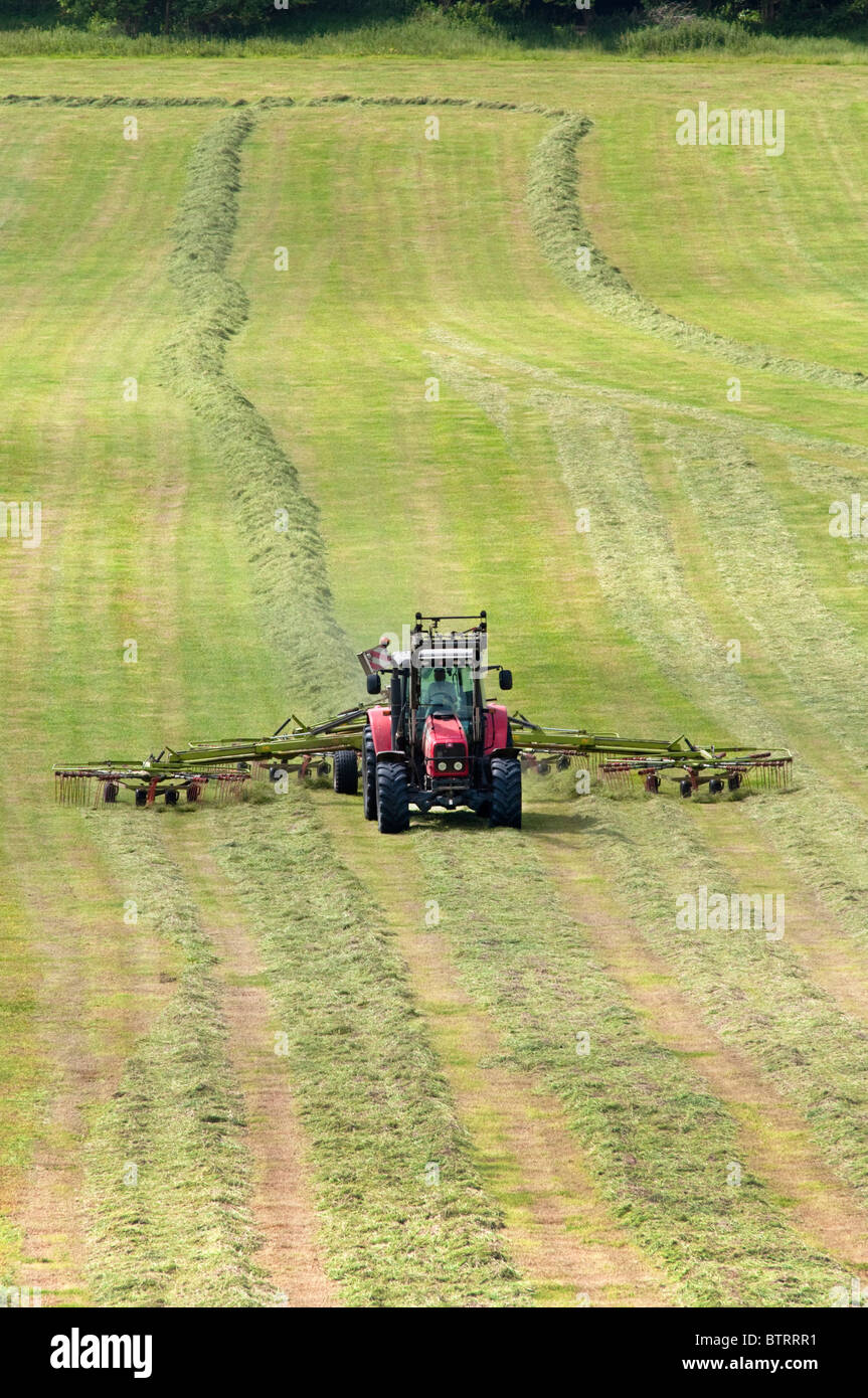 Silage cutting hi-res stock photography and images - Alamy