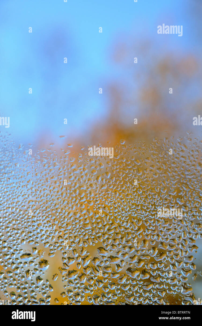 condensation droplets on window Stock Photo - Alamy