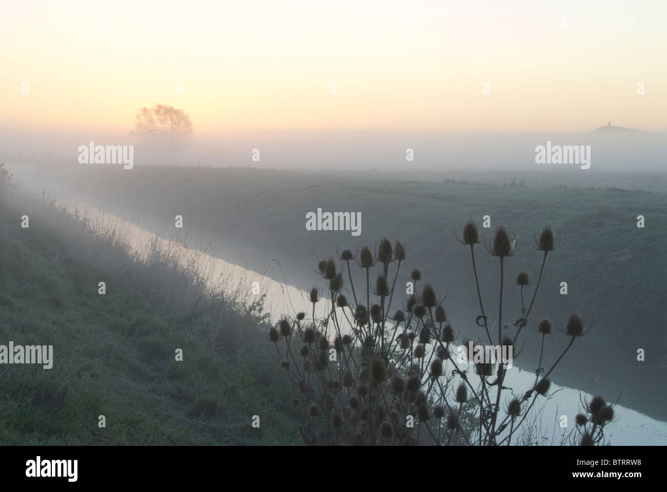 River Brue misty morning Stock Photo - Alamy