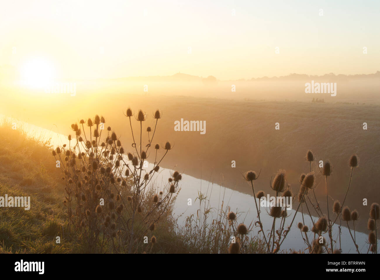 River Brue at dawn Stock Photo - Alamy