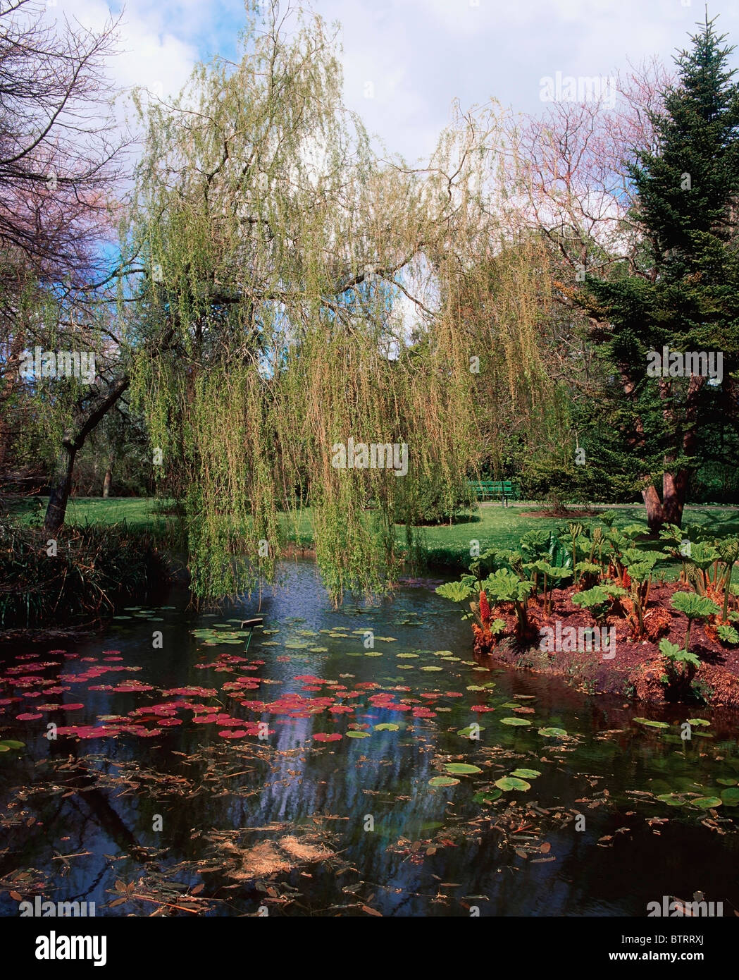 Irish National Botanic Gardens, Dublin, Co Dublin, Ireland; Garden ...