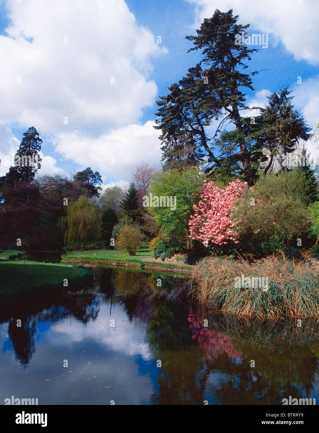 Irish National Botanic Gardens, Dublin, Co Dublin, Ireland; Garden ...