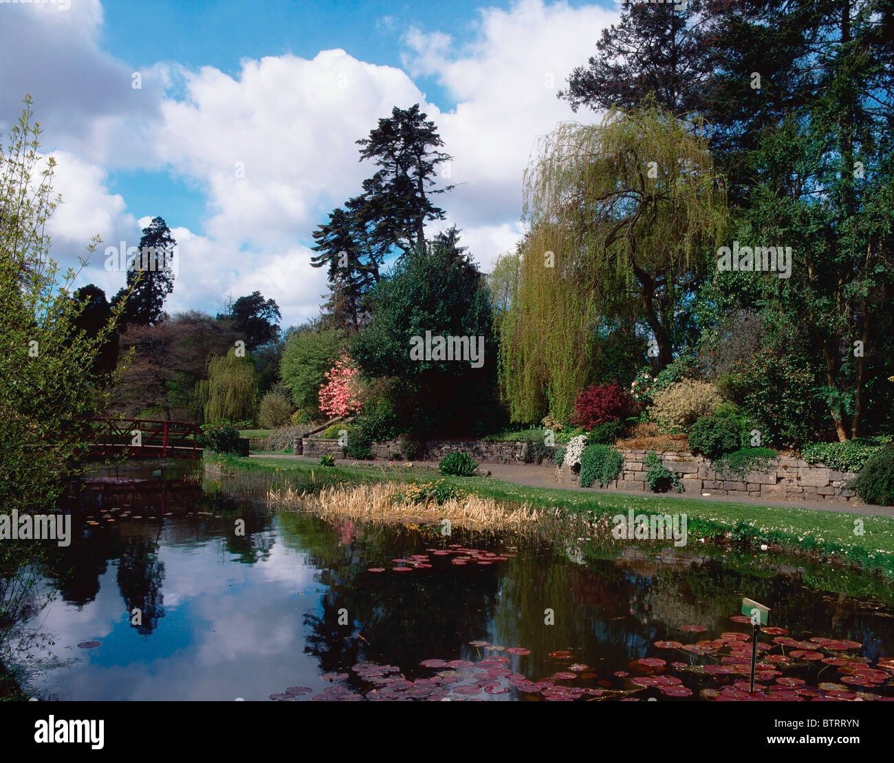 Irish National Botanic Gardens, Dublin, Co Dublin, Ireland; Garden ...