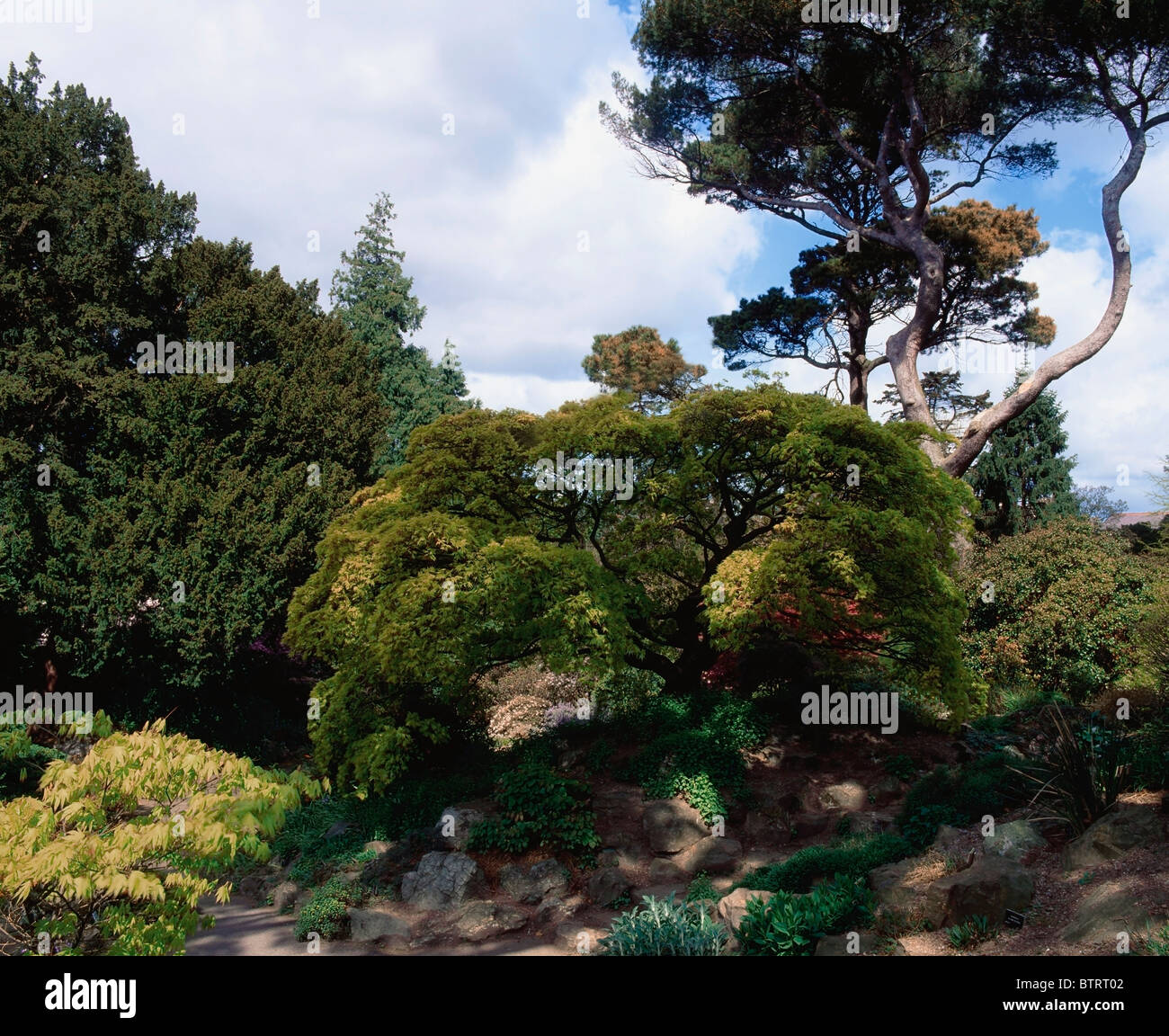 Irish National Botanic Gardens, Dublin, Co Dublin, Ireland; Garden ...